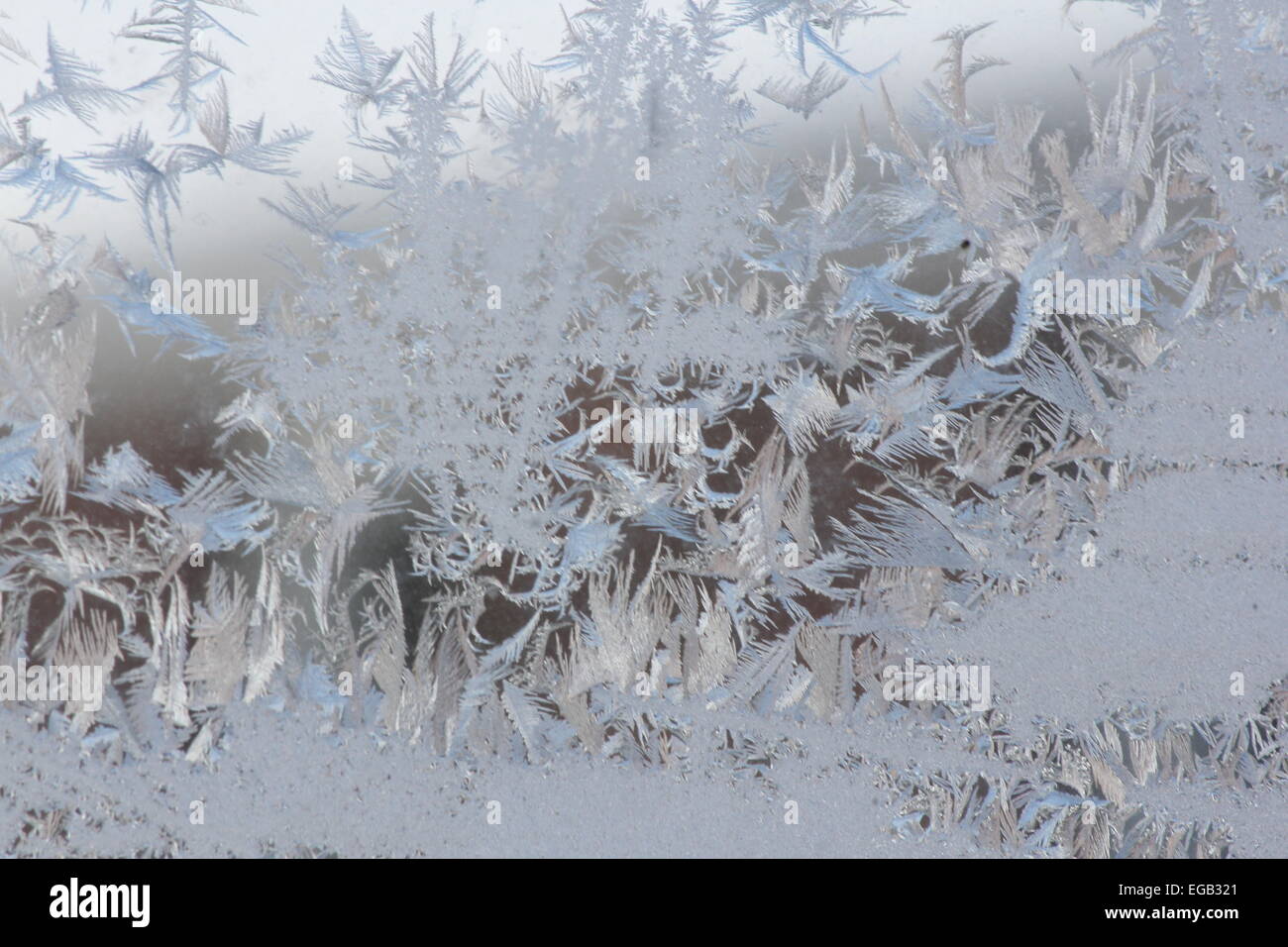 Frost formed a design on the outside of a house window on a very cold ...