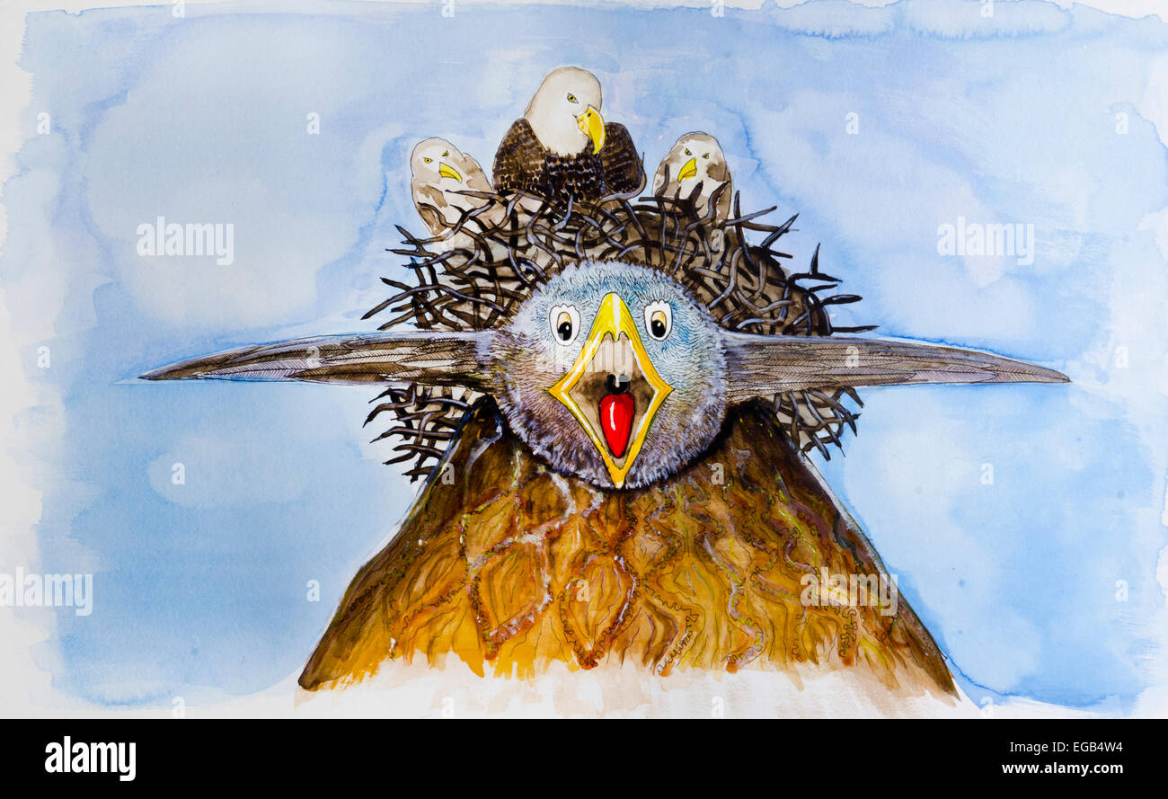 First Flight of the baby Eagle Stock Photo - Alamy