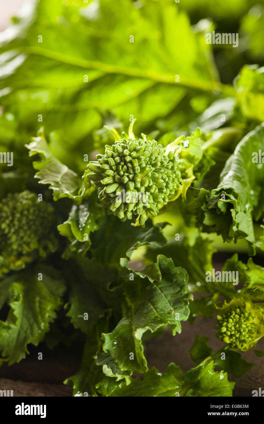 Broccoli raab hi-res stock photography and images - Alamy