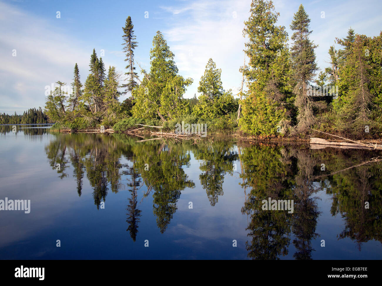 Aerial wild Canadian forest Stock Photo - Alamy