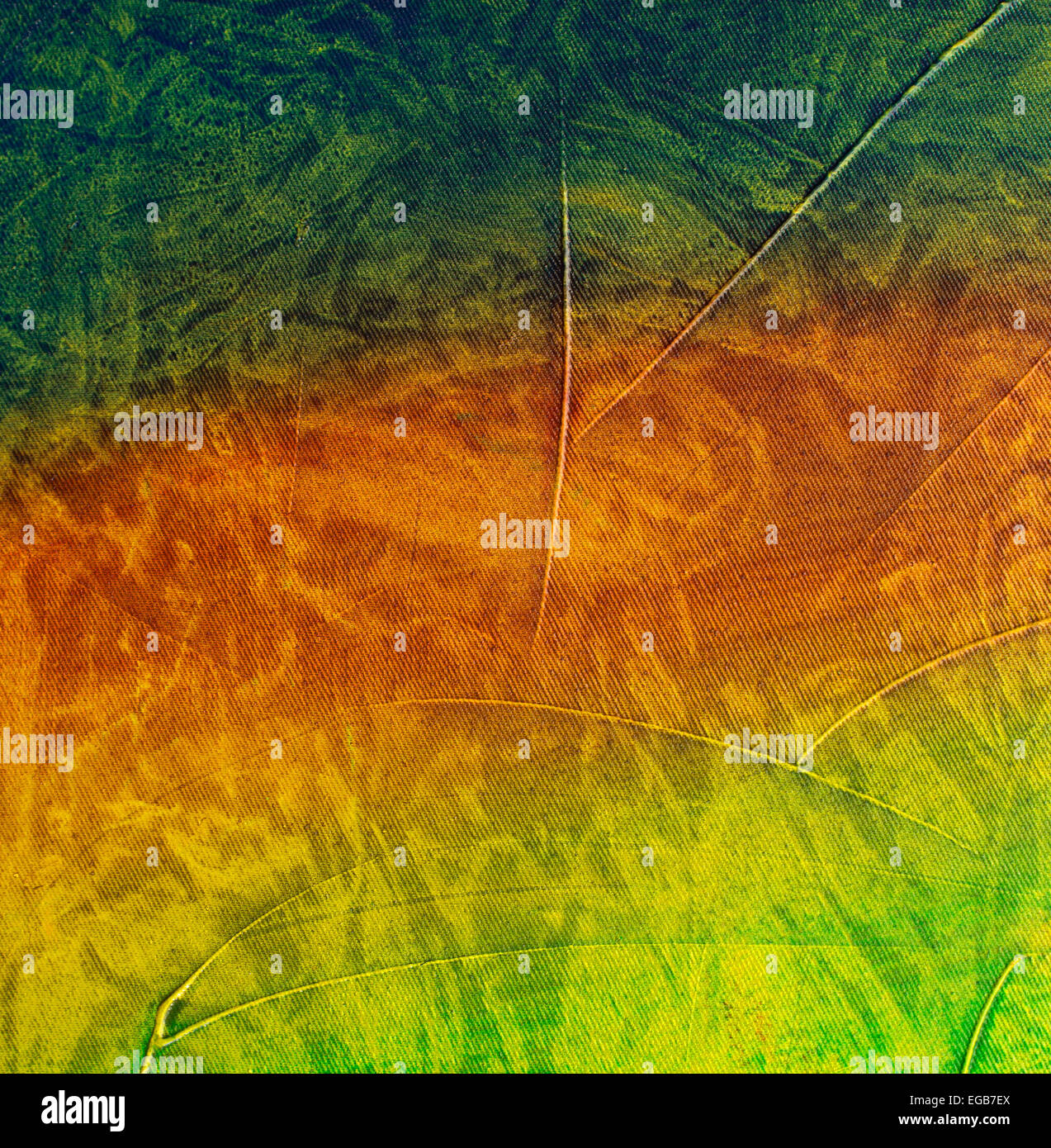 Vibrant background hi-res stock photography and images - Alamy