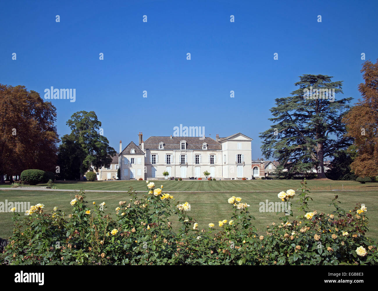 Meursault, france hi-res stock photography and images - Alamy