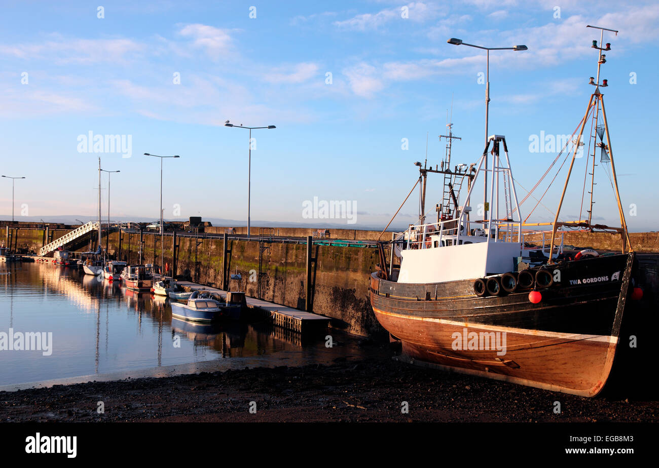 Early morning Anstruther Harbour at low tide Stock Photo - Alamy