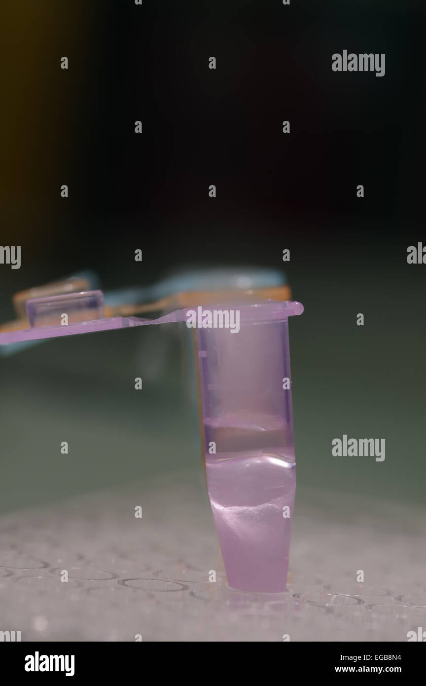 Dry ice reaction with water in multicolored eppendorf (microfuge) tubes ...