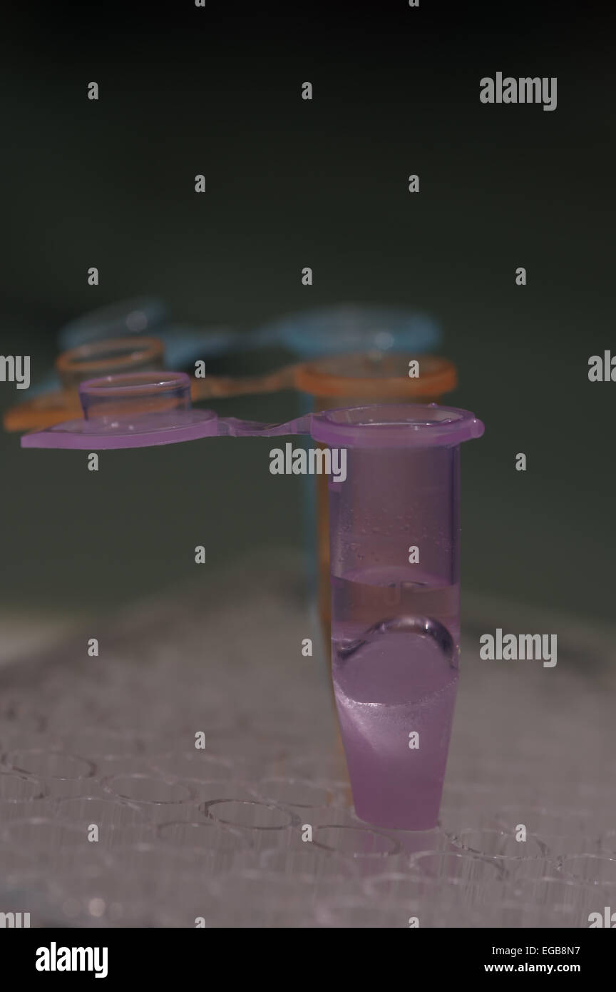 Dry ice reaction with water in multicolored eppendorf (microfuge) tubes ...