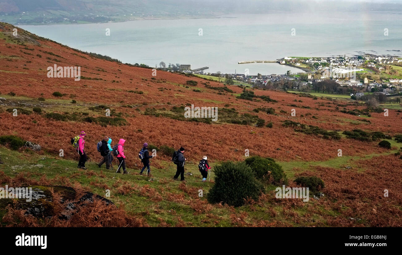 Foy carlingford cooley hi-res stock photography and images - Alamy