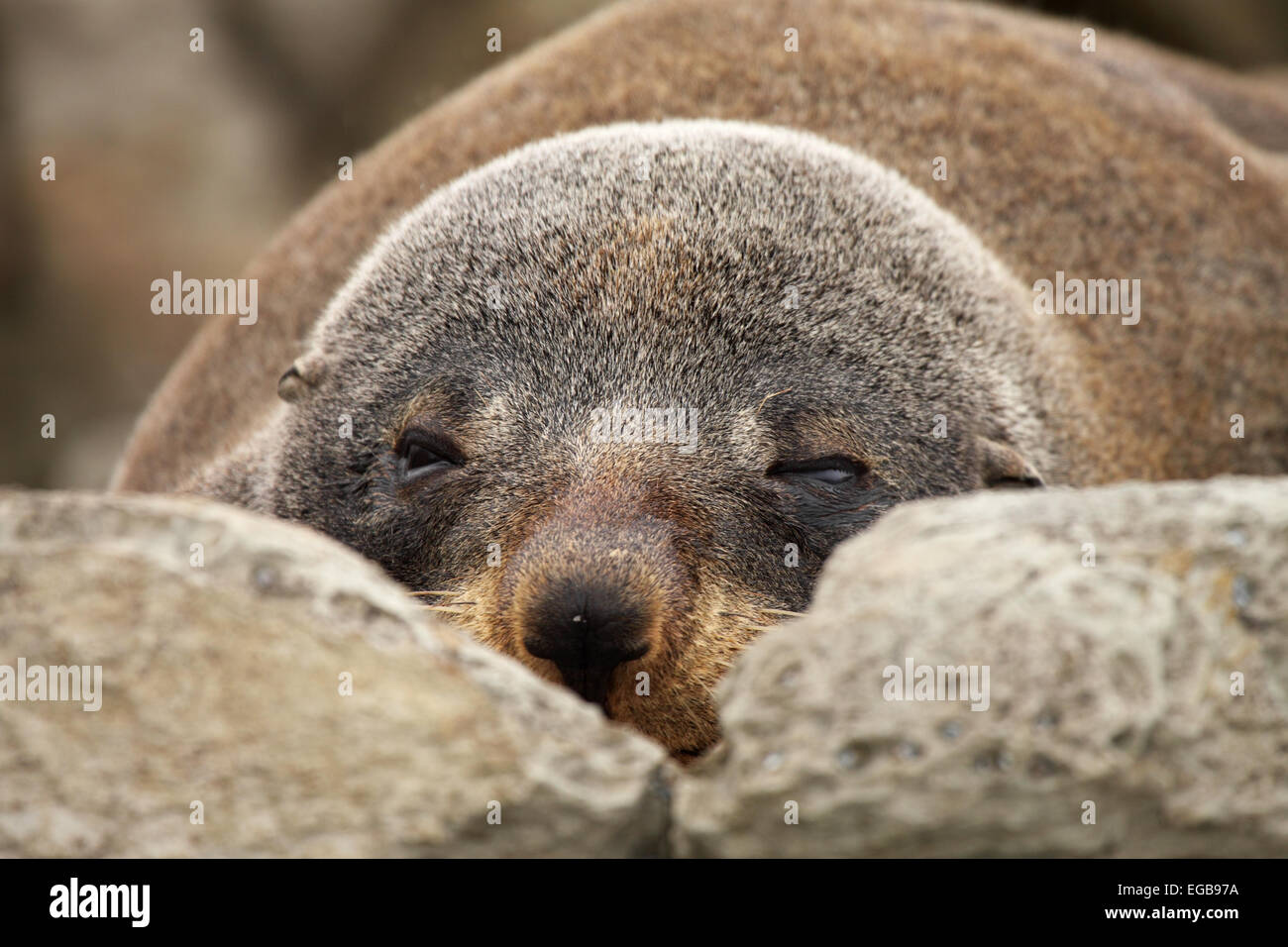 One eye open hi-res stock photography and images - Alamy