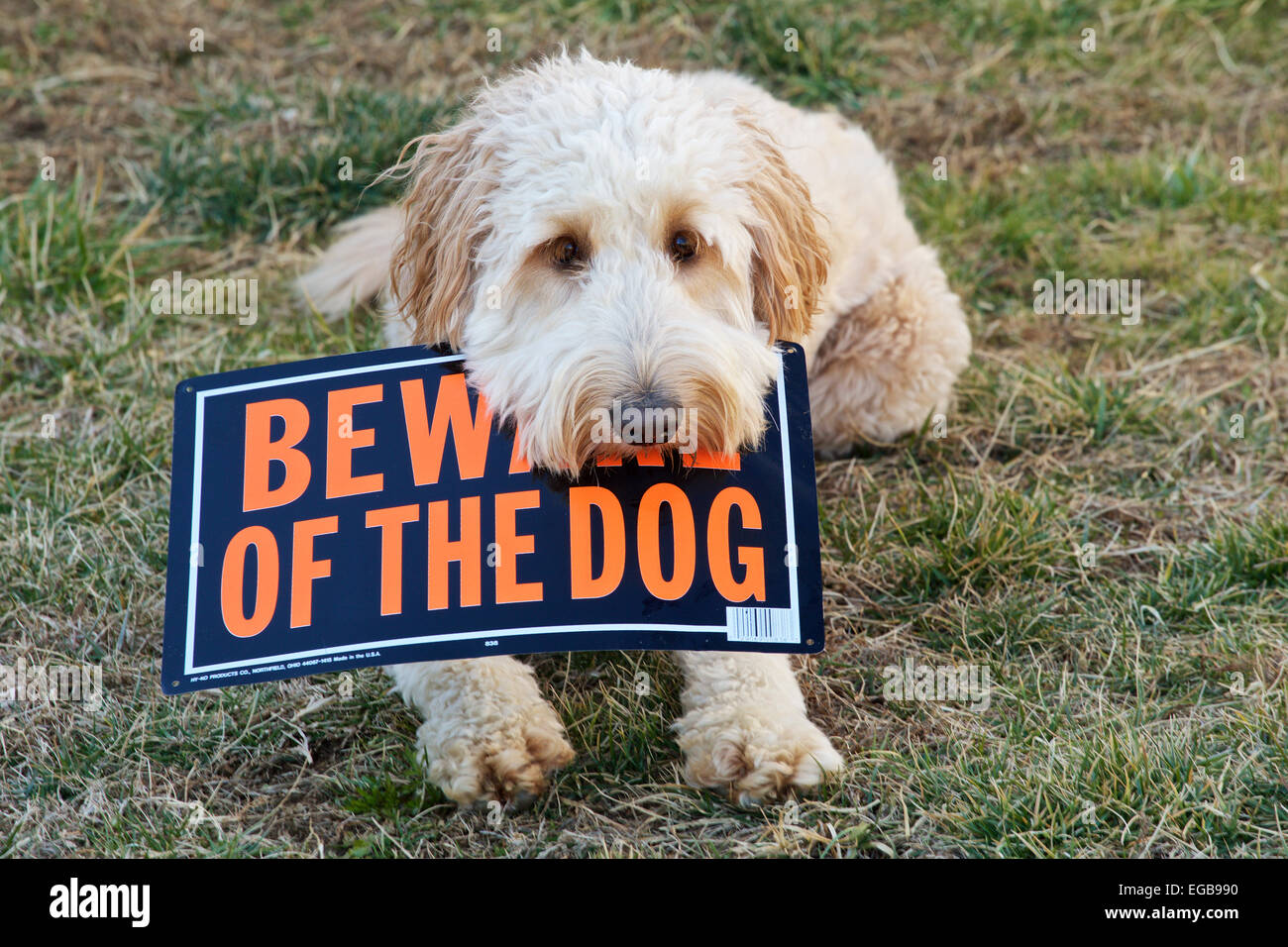 Beware sign hi-res stock photography and images - Alamy
