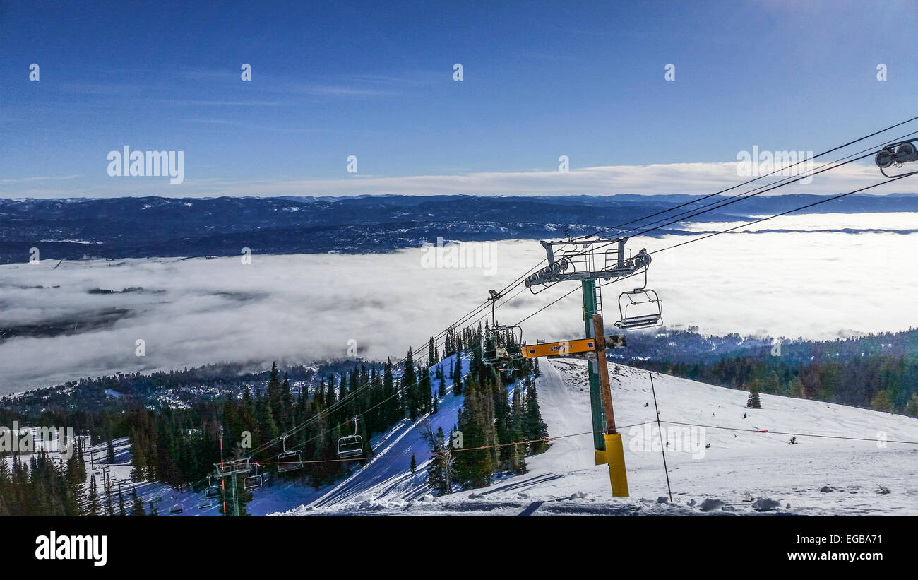 Tamarack hi-res stock photography and images - Alamy