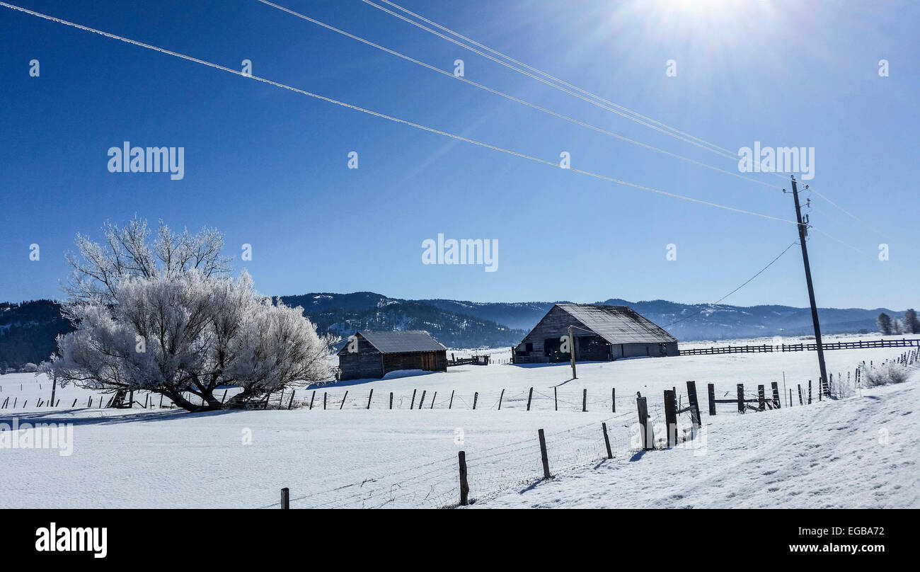Barn farm scene hi-res stock photography and images - Alamy