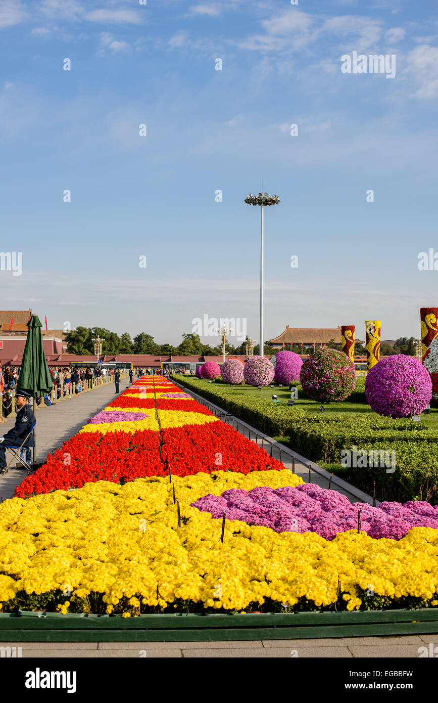 Brightly coloured flowers in Tiananmen Square, Bejing, China Stock ...