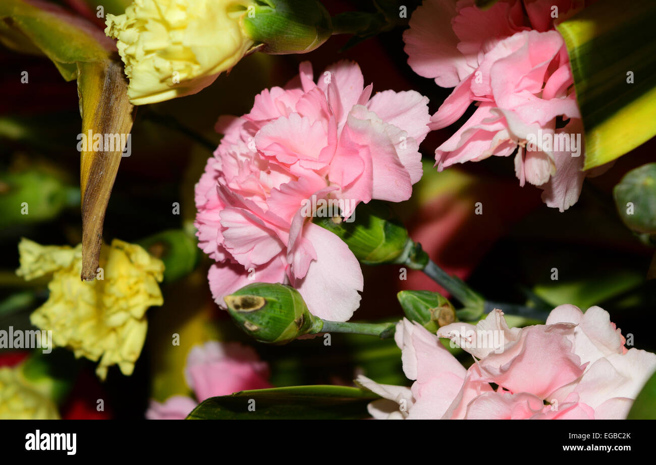 Flowers Decoration Side view Stock Photo - Alamy