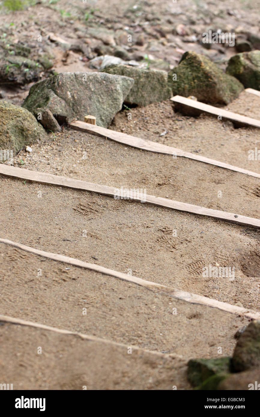 Stairs were made of sandy soil in the garden Stock Photo - Alamy