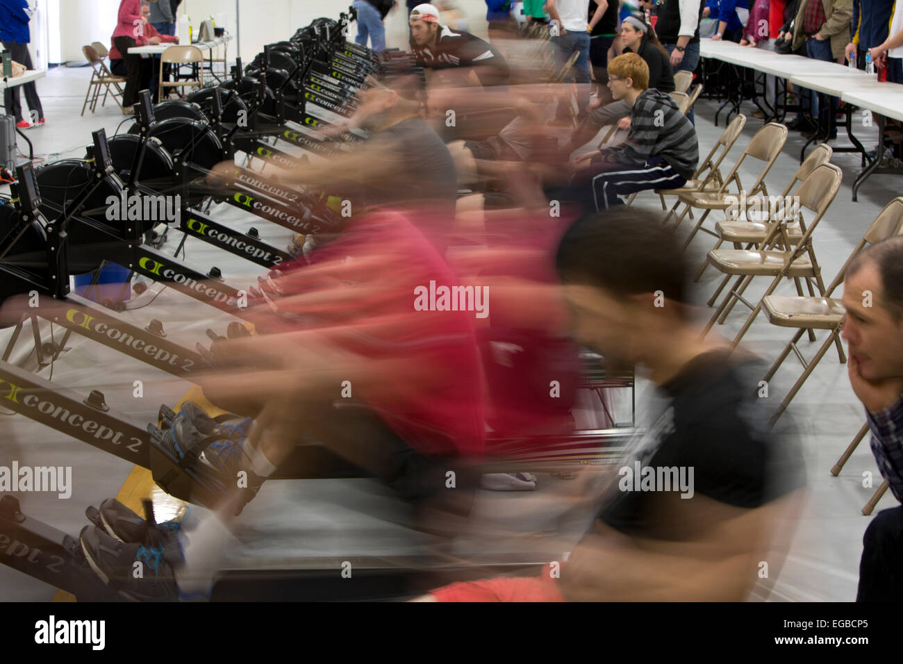 Erging races in a gym Stock Photo - Alamy