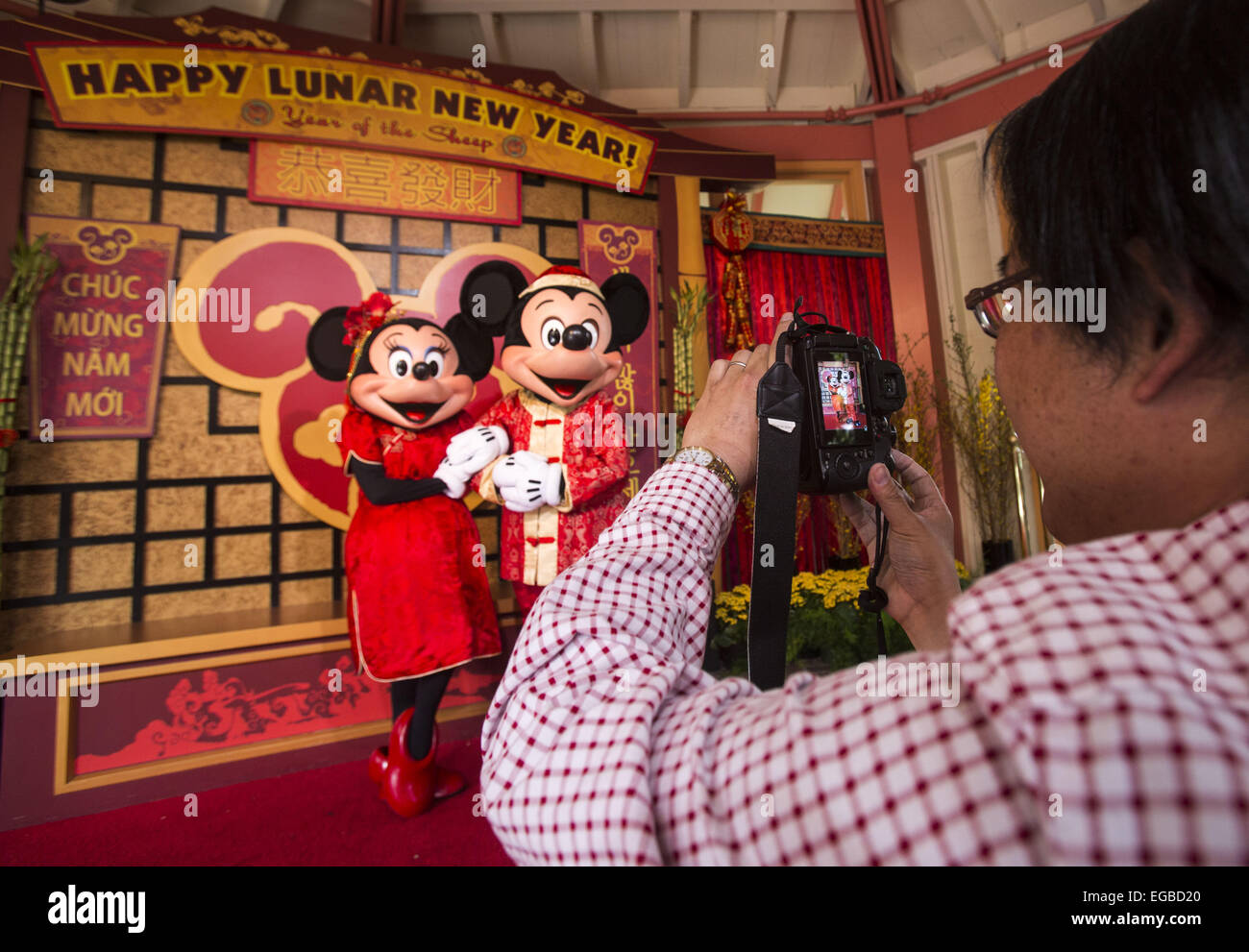 Minnie Mouse Happy New Year