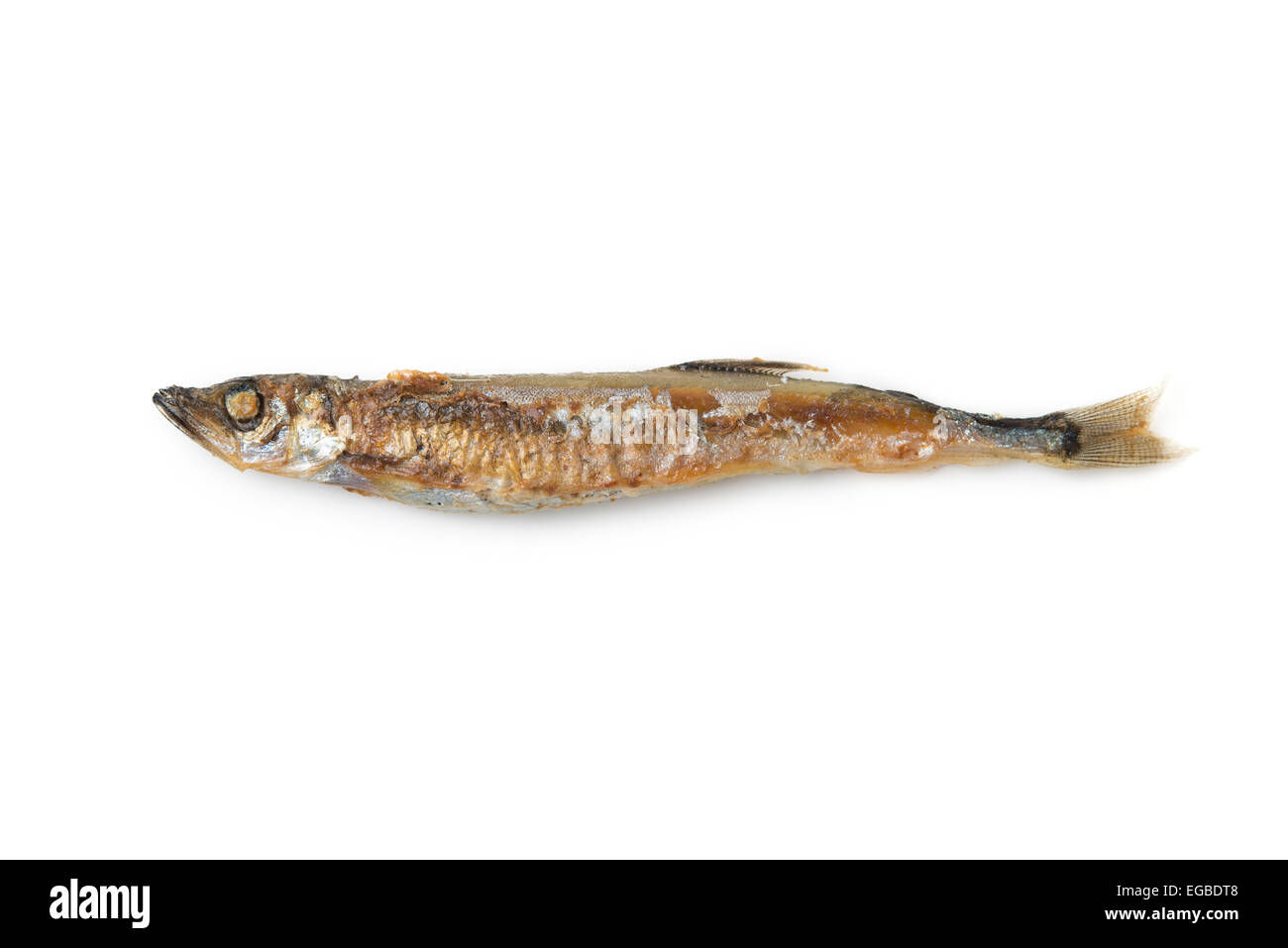 fried shishamo fish isolated on white Stock Photo - Alamy