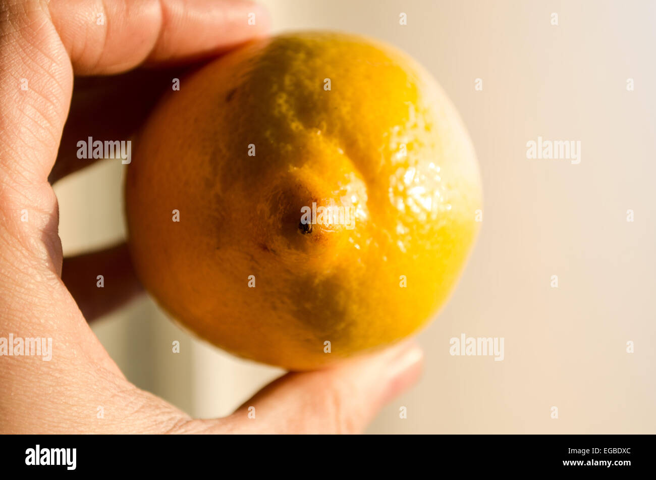 Lemon in woman hands Stock Photo - Alamy