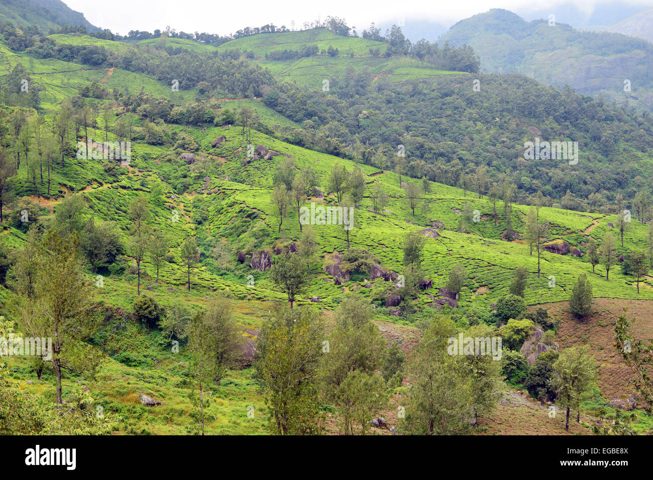 Munnar Kerala Hill Station landscape Beautiful View Munnar Kerala India ...