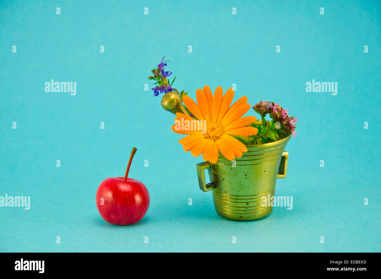 Medical flowers hi-res stock photography and images - Alamy