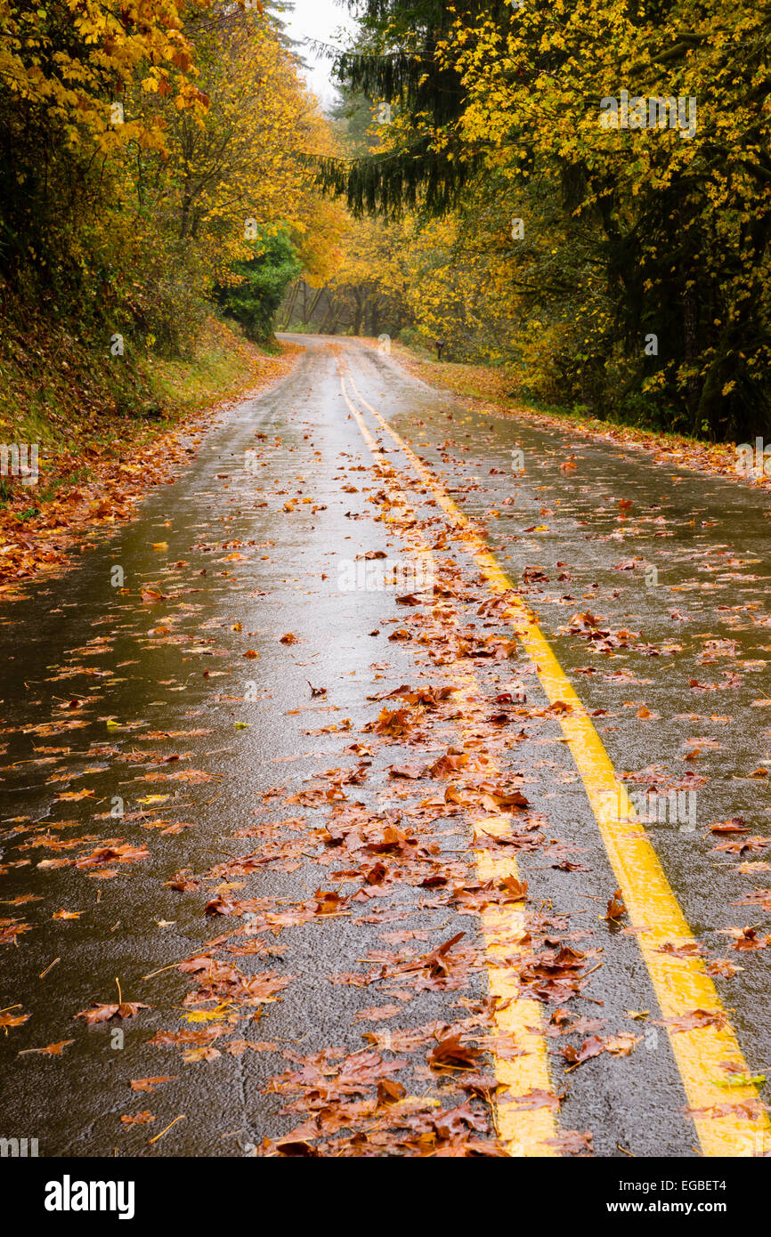 The road looks slippery in the poring rain Oregon Highway Stock Photo ...