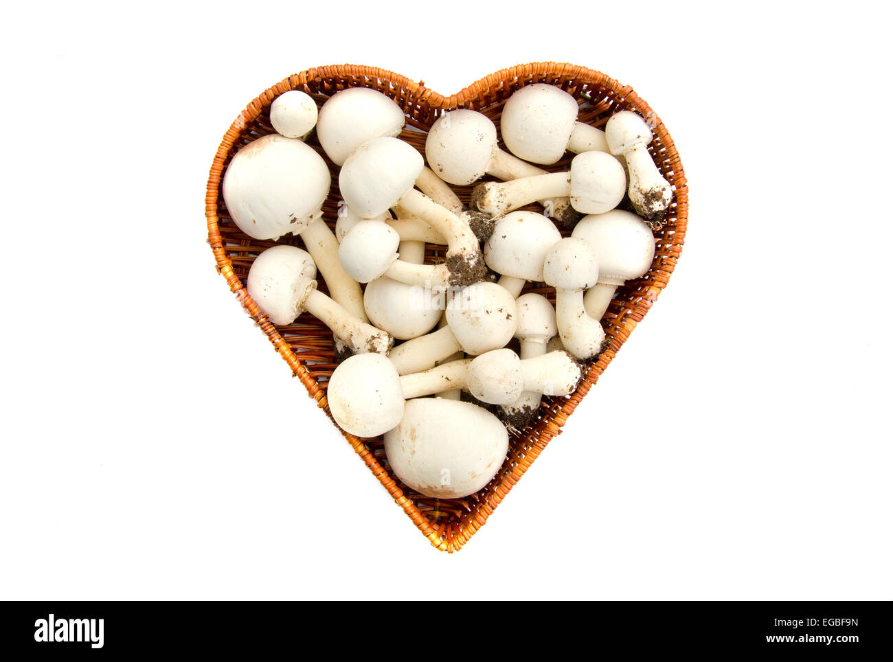 Raw white wild mushrooms champignons Agaricus in heart form basket ...