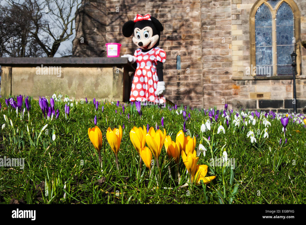 Minnie mouse in church gardens Stock Photo - Alamy