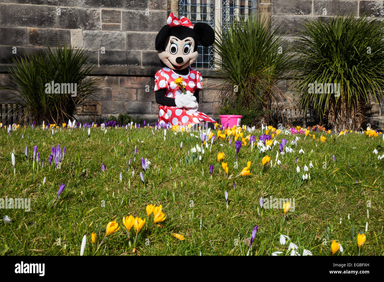 Minnie mouse in church gardens Stock Photo - Alamy