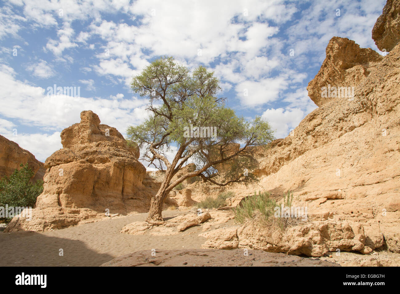 Sesriem and sossusvlei hi-res stock photography and images - Alamy