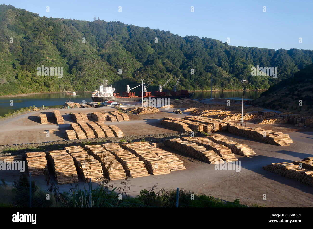 Logs on wharf, awaiting loading onto ship, Picton, Marlborough, South ...