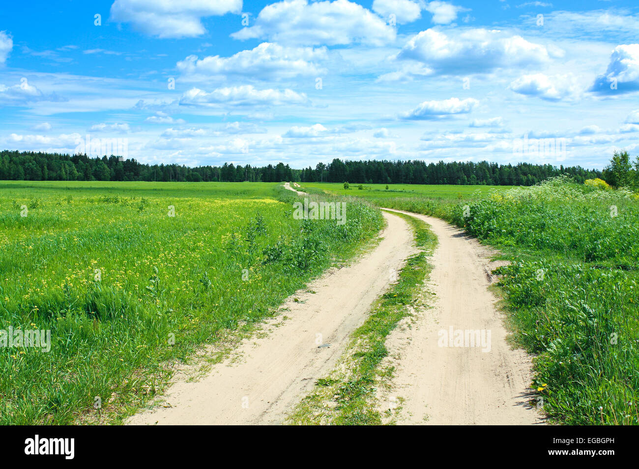 beautiful rural summer landscape with the road and a field Stock Photo ...