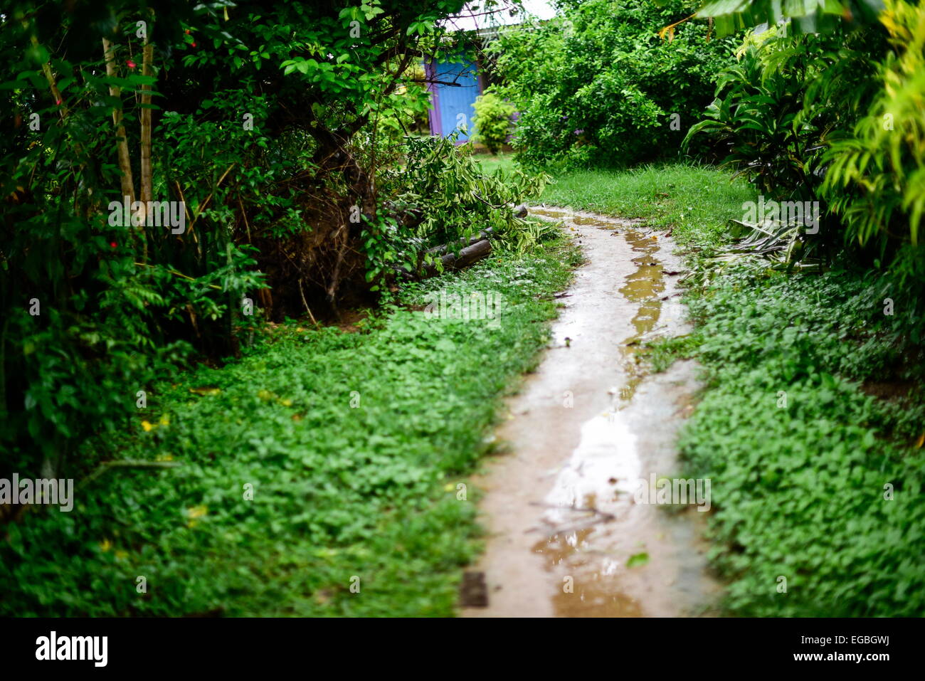 Solevu Village, Malolo Islands, Fiji. 11th Feb, 2015. There are no ...