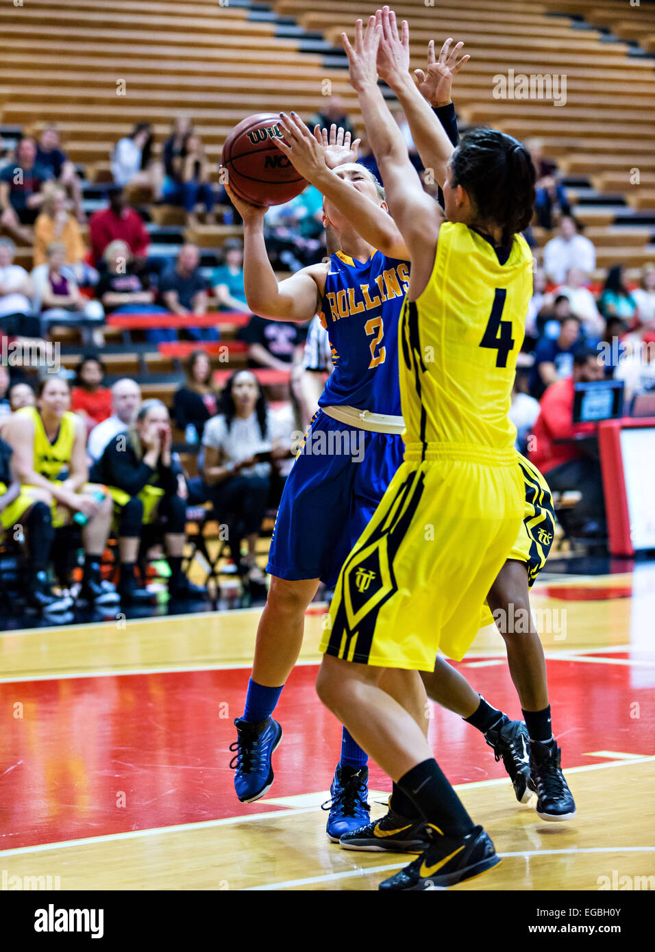 Cassidy ellen hi-res stock photography and images - Alamy