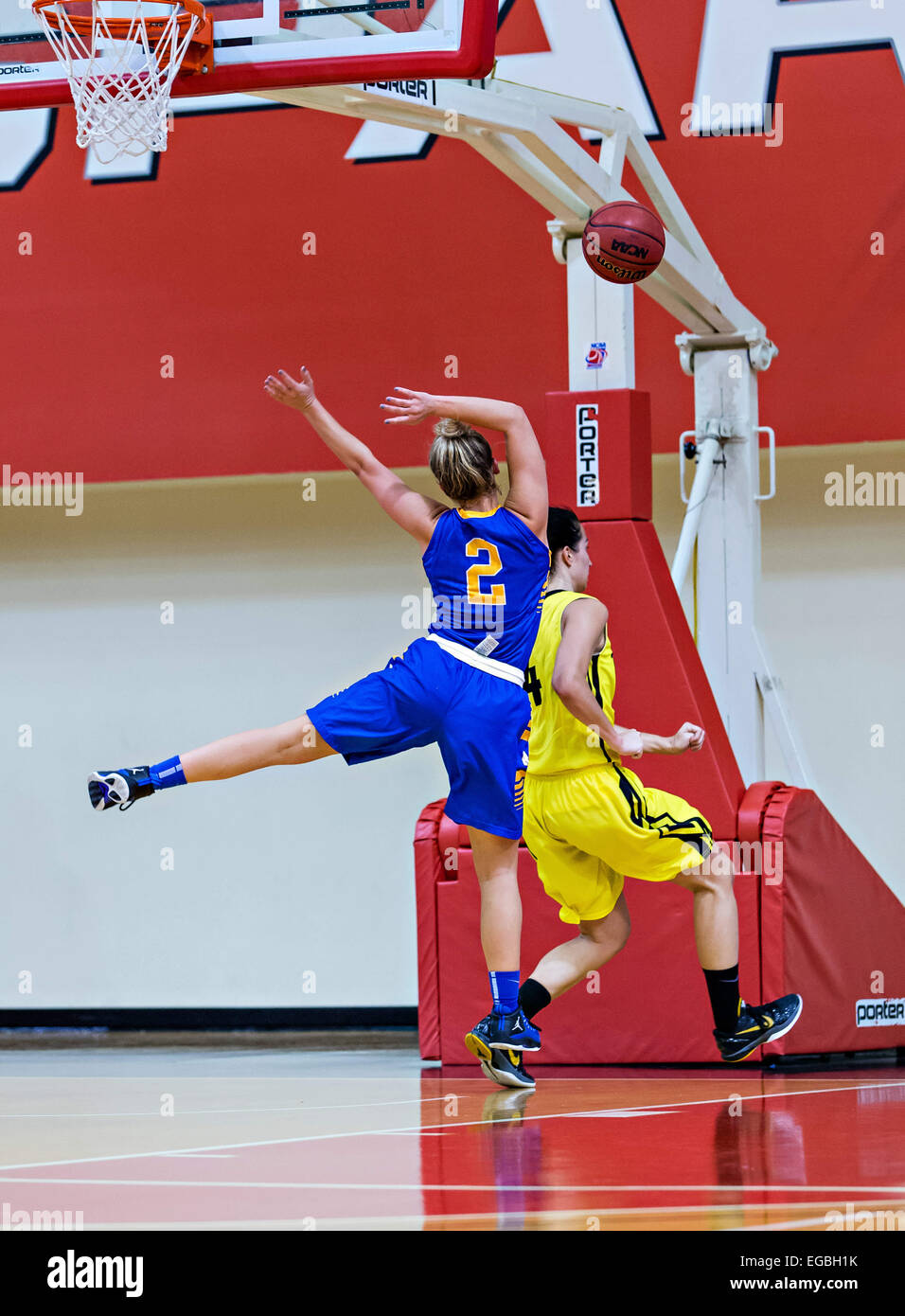 Tampa FL, USA. 21st Feb, 2015. Rollins Tars Cassidy Bailey #2 knocks ...