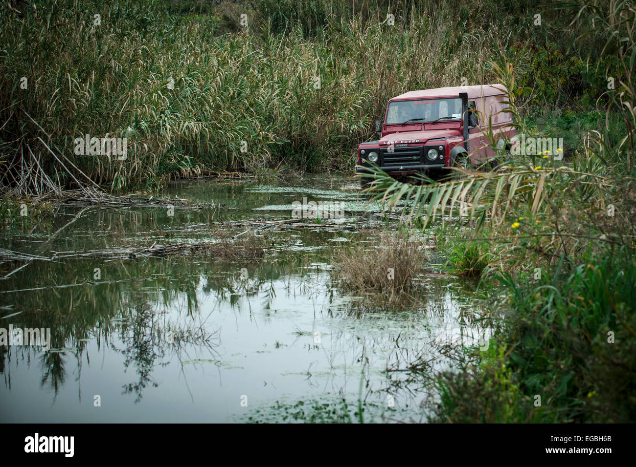 Off road vehicle wading through marsh Stock Photo - Alamy