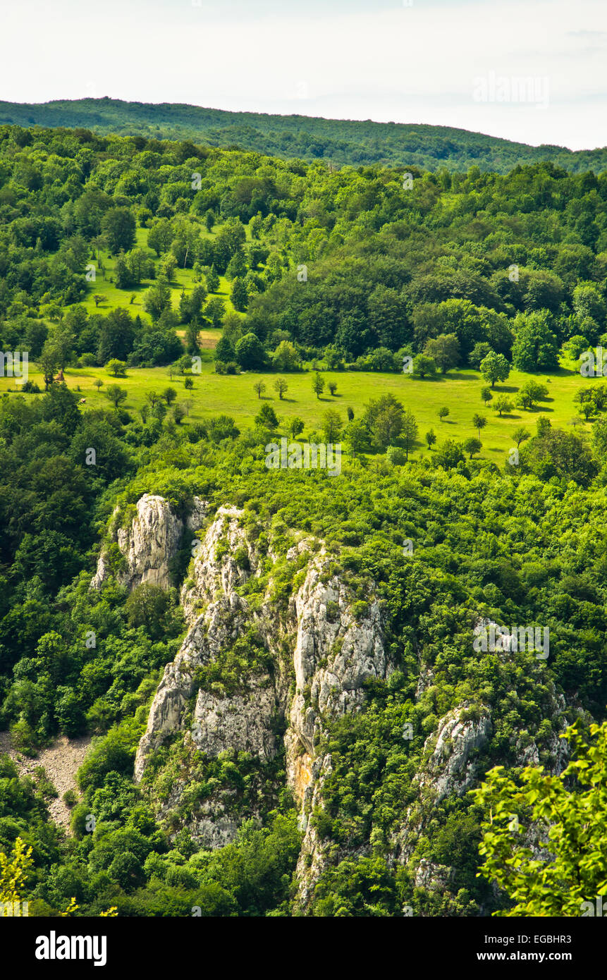 Resava gorge hi-res stock photography and images - Alamy