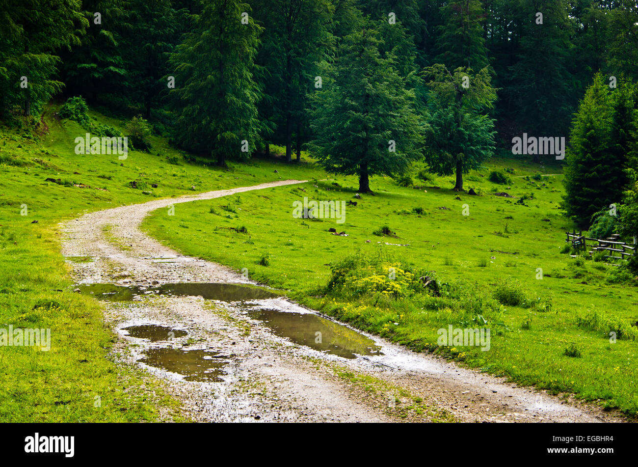 Rain road hi-res stock photography and images - Alamy