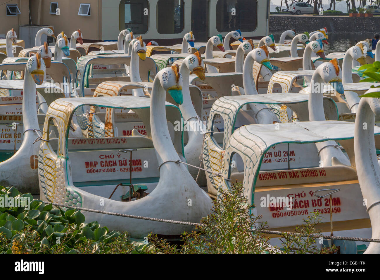 Pedalo Swans High Resolution Stock Photography and Images - Alamy