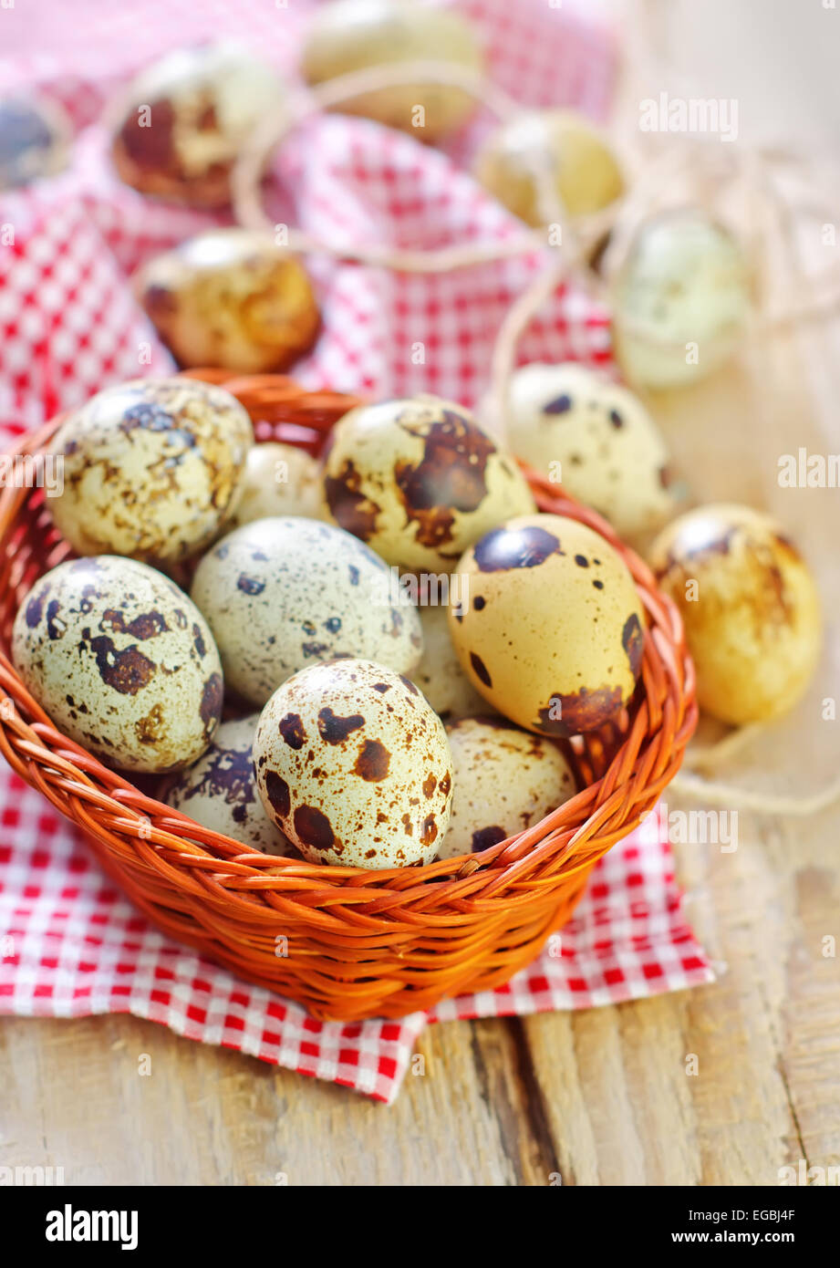 Lovely bird eggs hi-res stock photography and images - Alamy