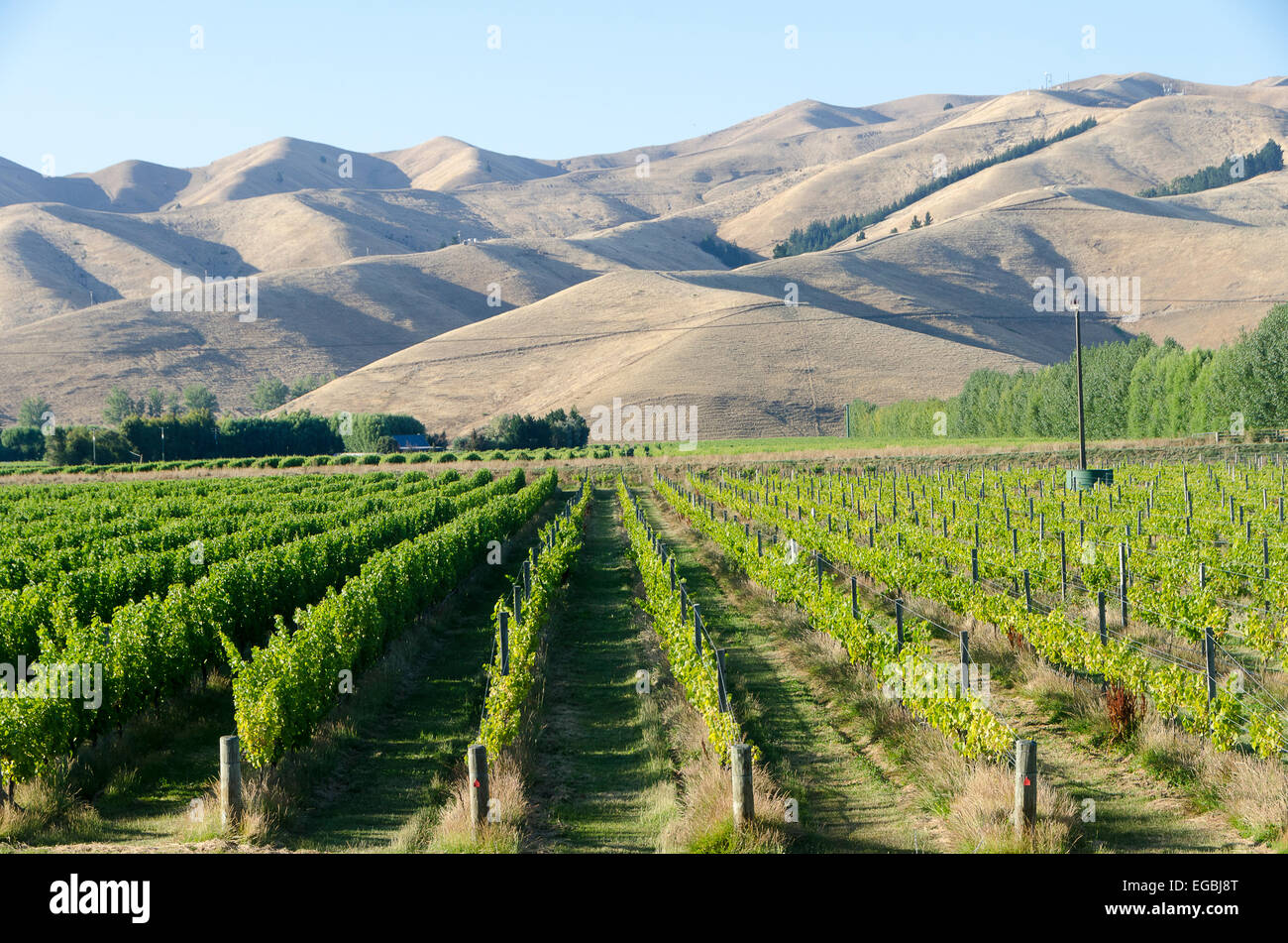 Blenheim new zealand hi-res stock photography and images - Alamy