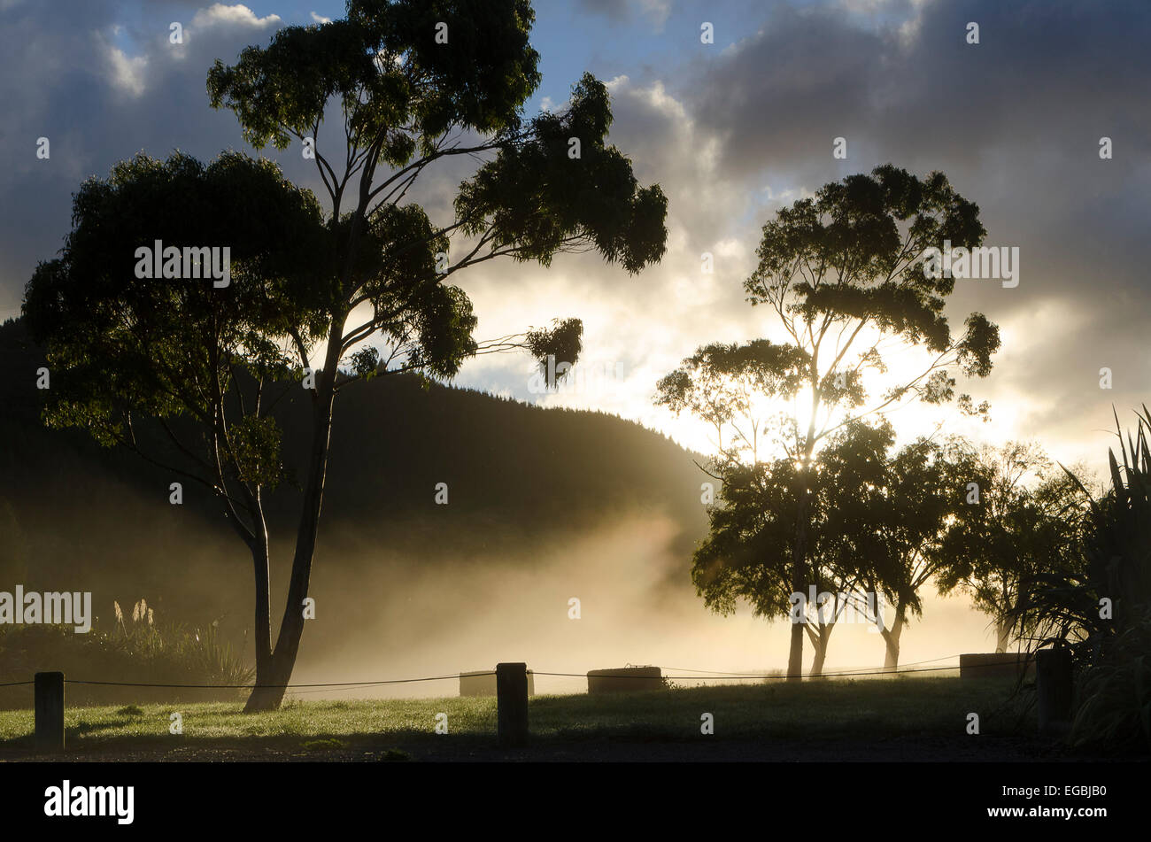 Upper hutt new zealand hi-res stock photography and images - Alamy