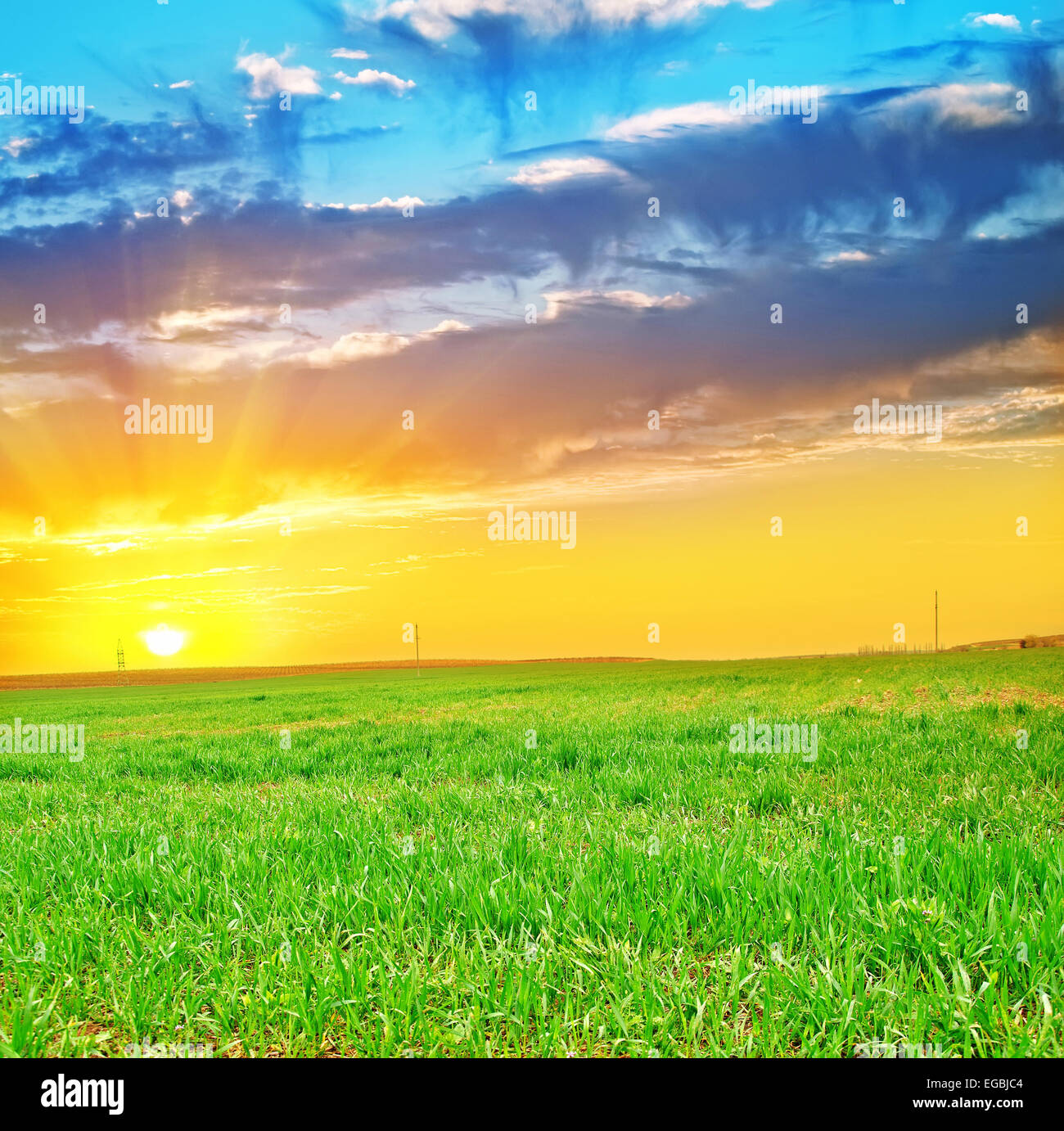 green field and sunset Stock Photo - Alamy