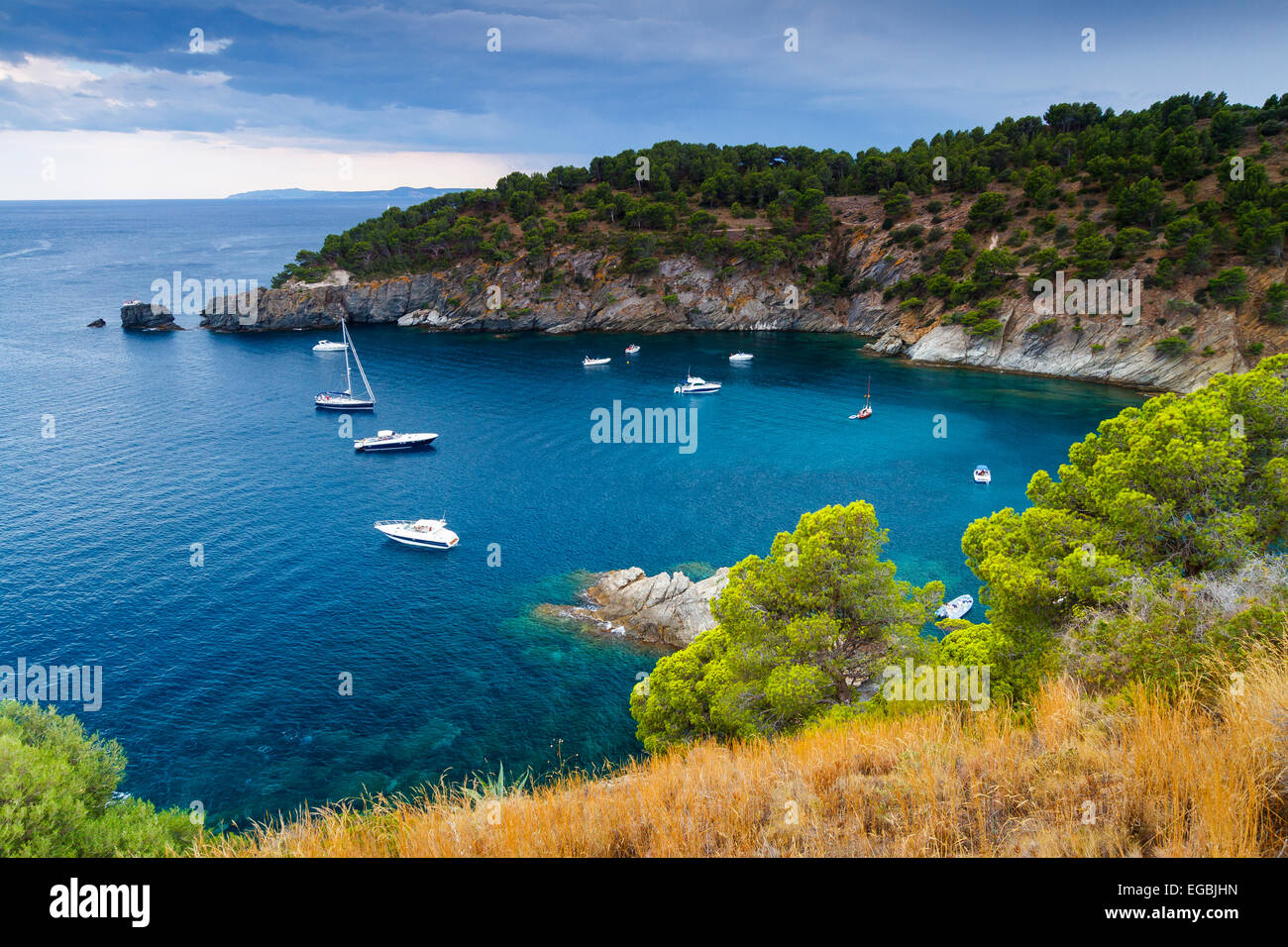Cala rostella hi-res stock photography and images - Alamy