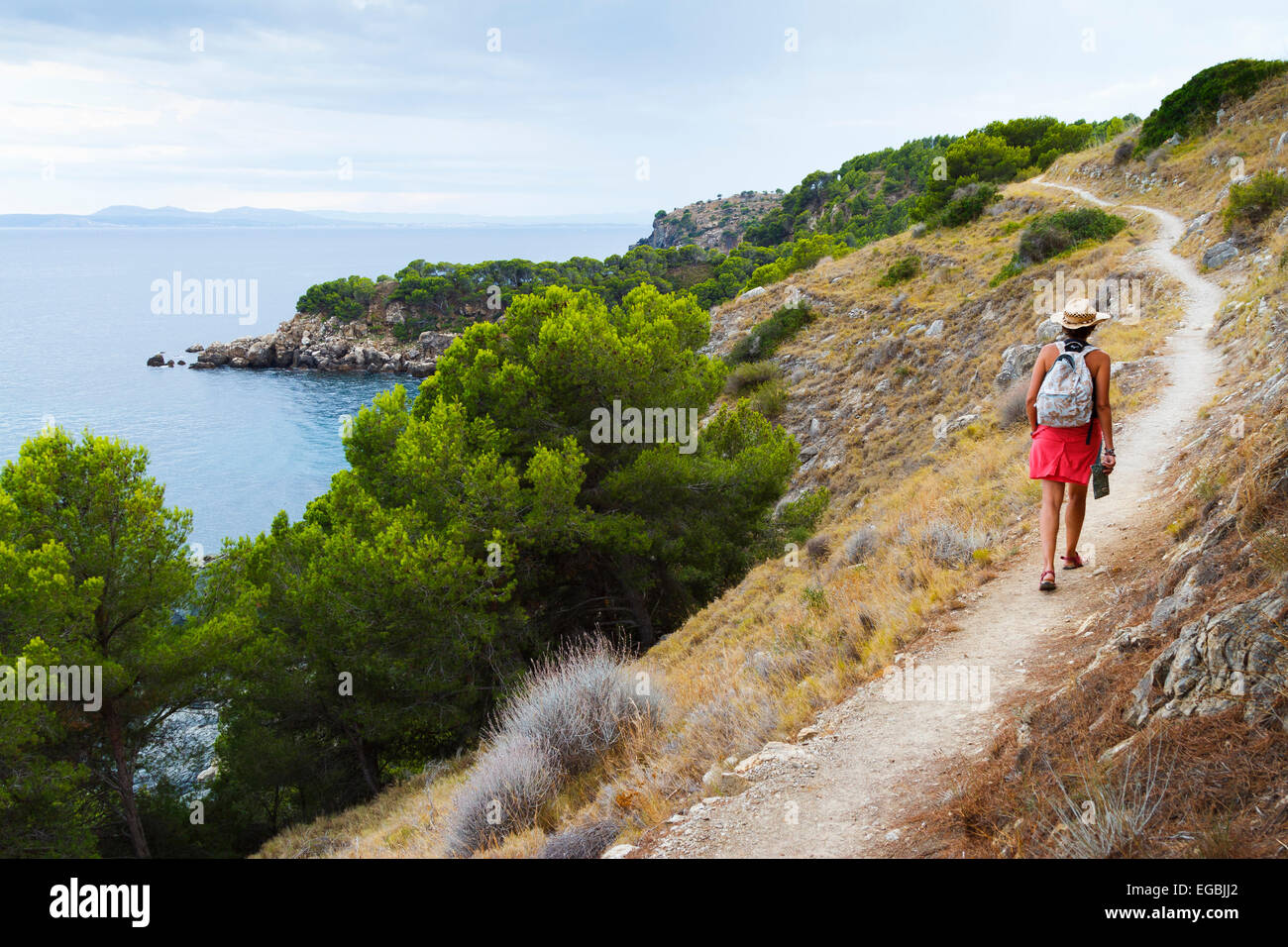 Punta falconera roses hi-res stock photography and images - Alamy