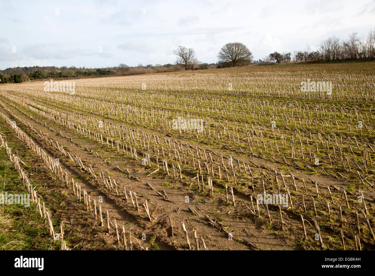 Sutton fields hi-res stock photography and images - Alamy