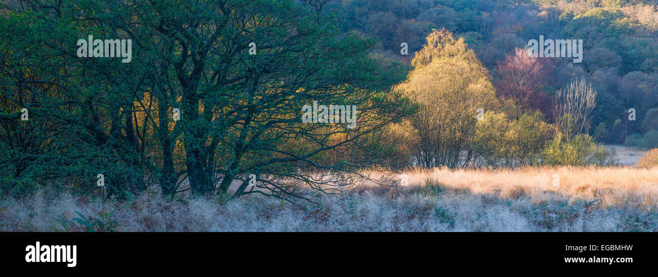 Capel Curig High Resolution Stock Photography and Images - Alamy