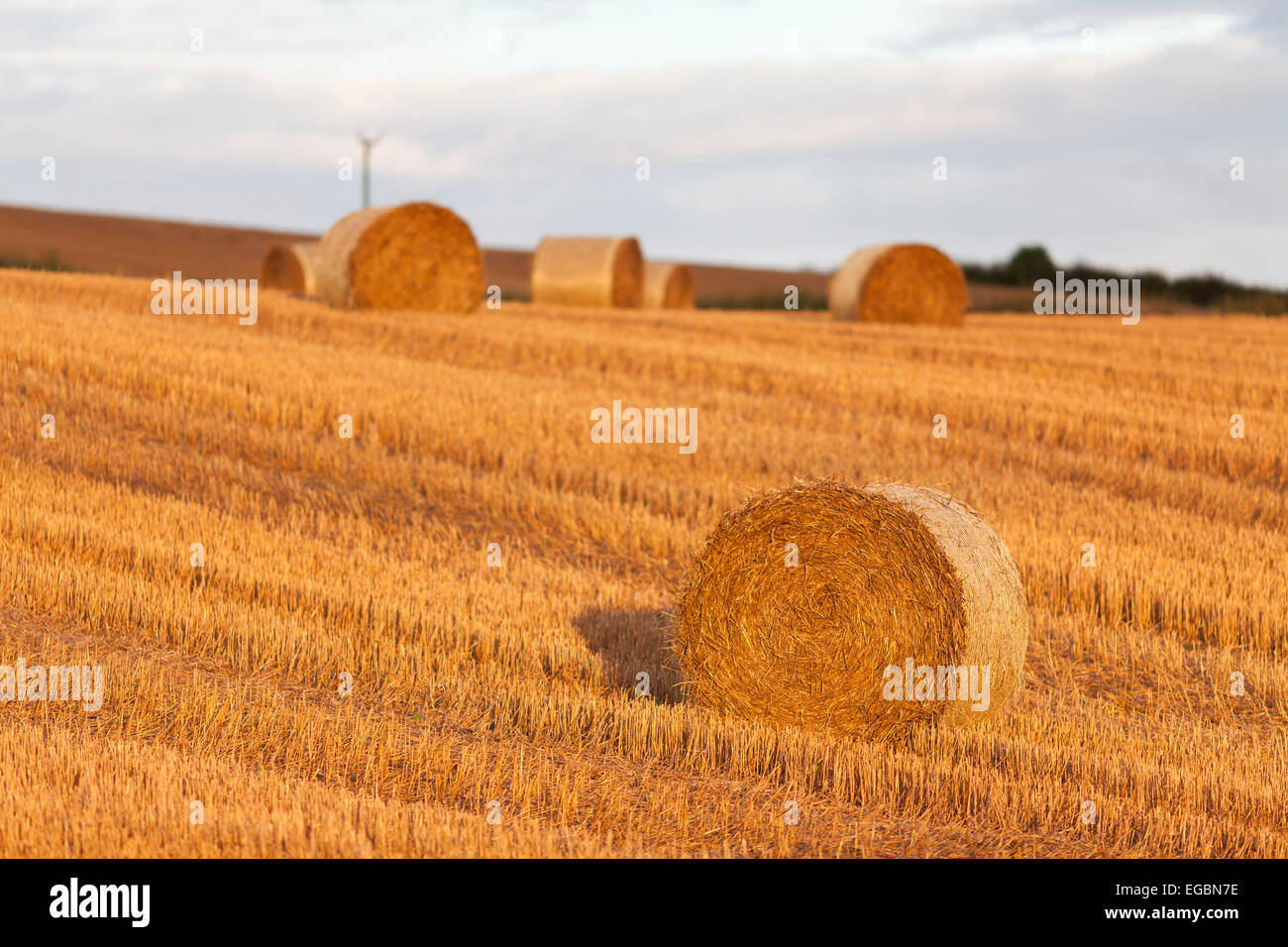 UK, Hay Bail Stock Photo - Alamy
