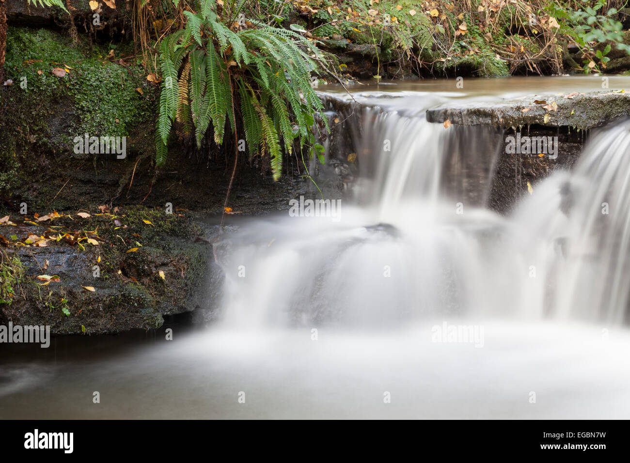 Moving stream water hi-res stock photography and images - Alamy