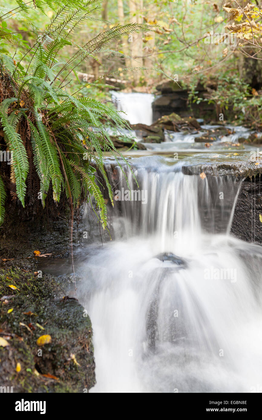 Animated Waterfall Wallpaper Hd