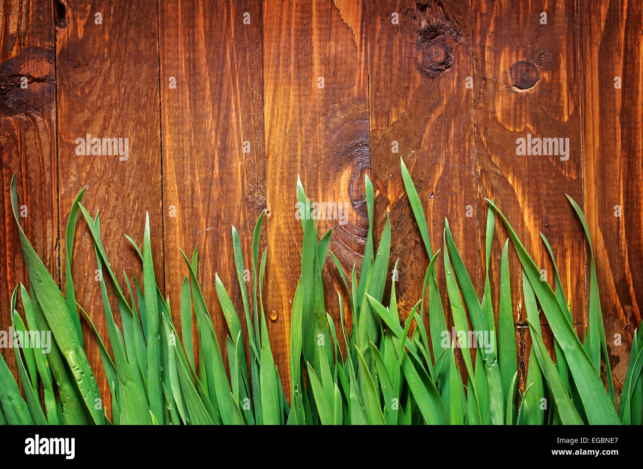 green grass and wooden boards Stock Photo - Alamy