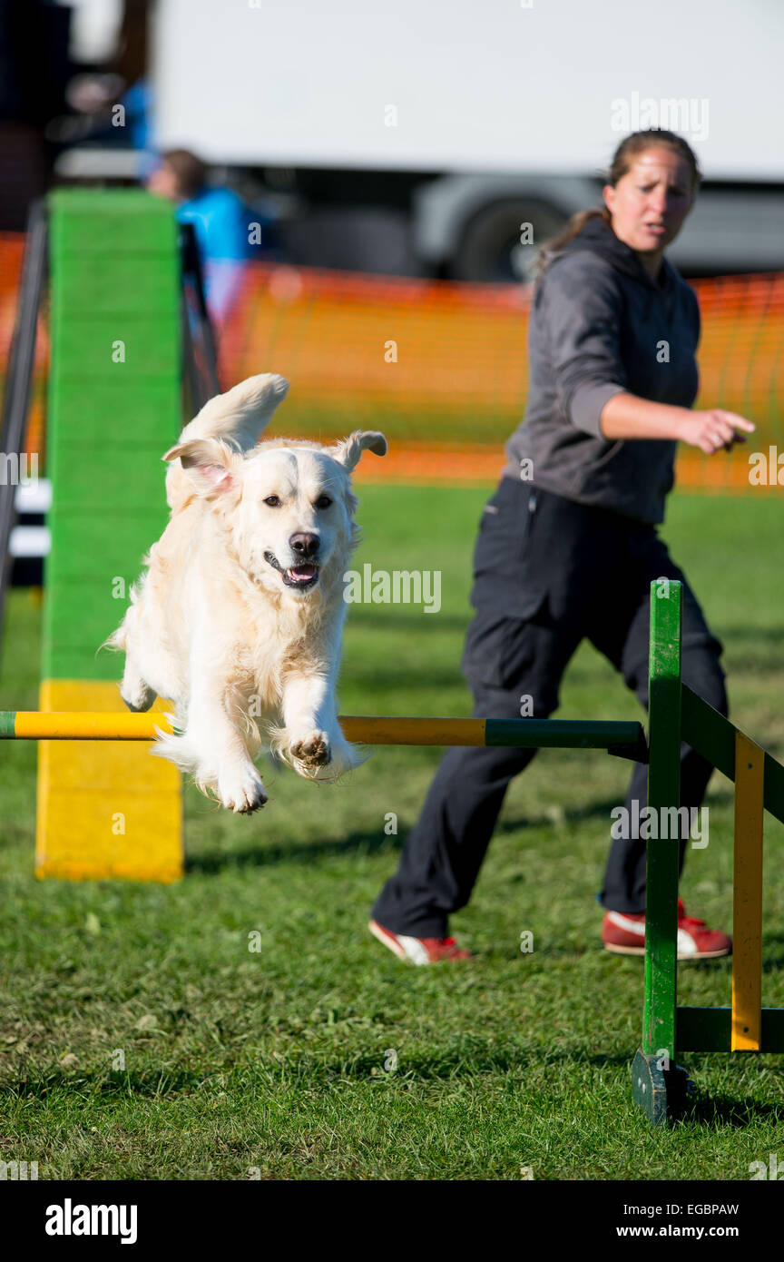 Show jumping course hi-res stock photography and images - Alamy